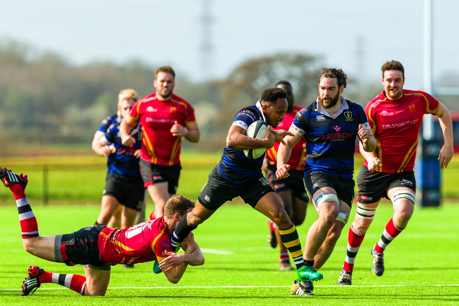 Summer Events - Shaftesbury Park